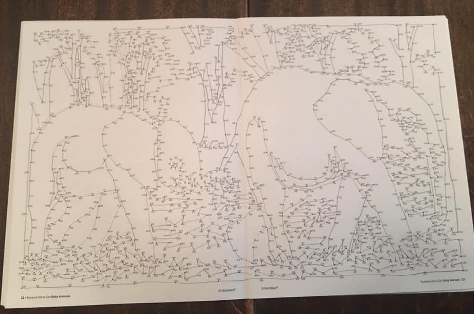 Homeschool Happenings: Extreme Dot to Dot ~ Baby Animals