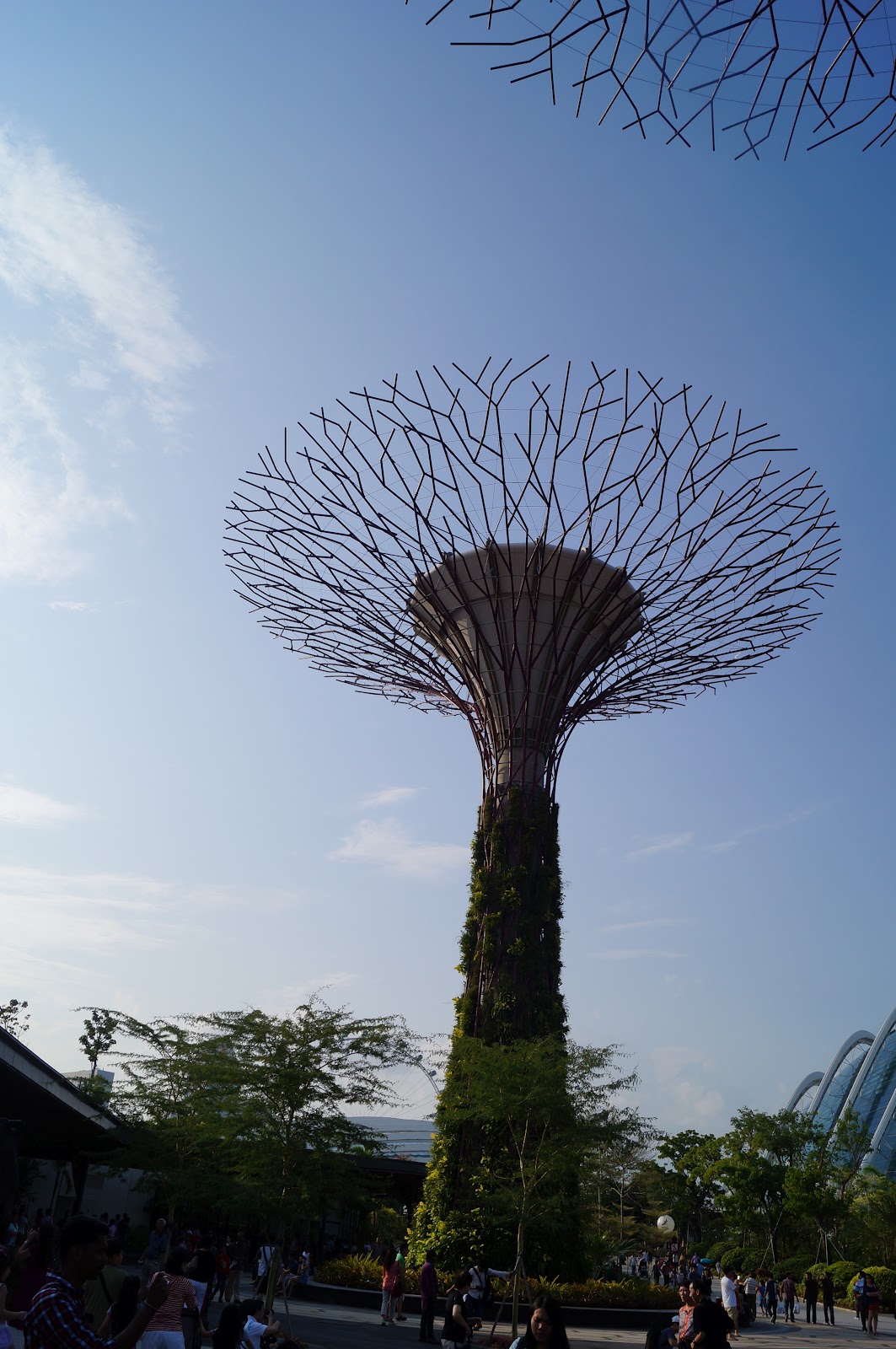 Sasi: Gardens by the Bay,Singapore -III (The Super Trees)
