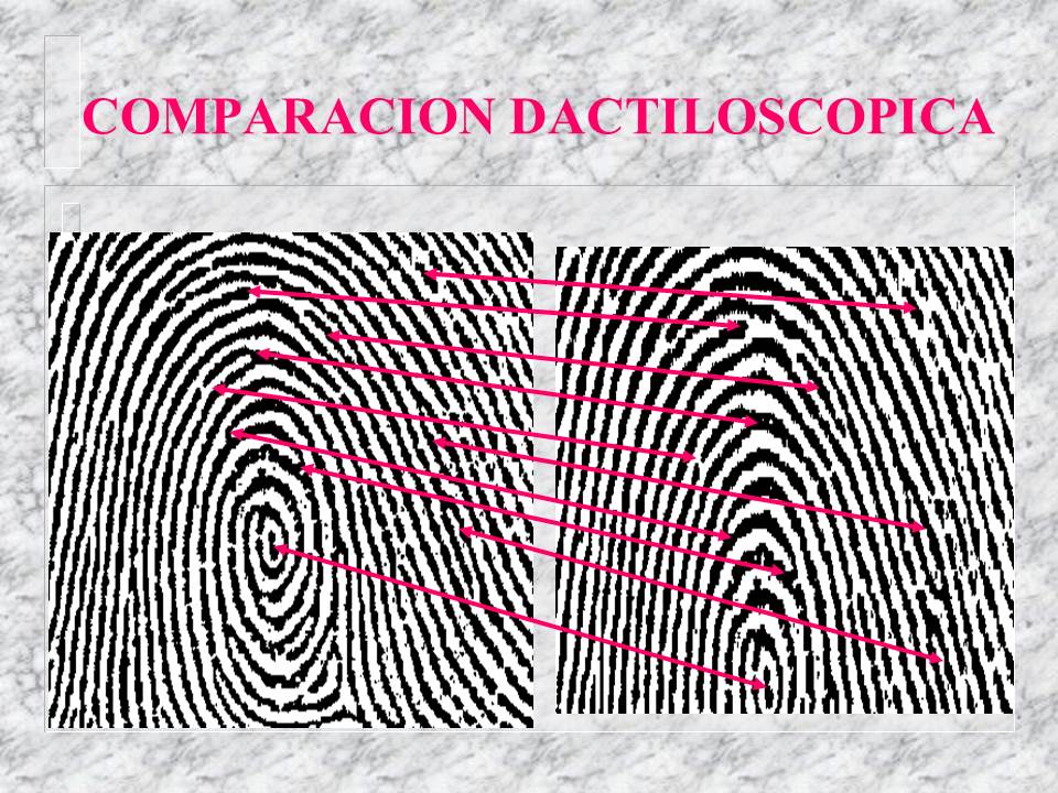 willialdanaeureka: EVOLUCIÓN E HISTORIA DE LA DACTILOSCOPIA
