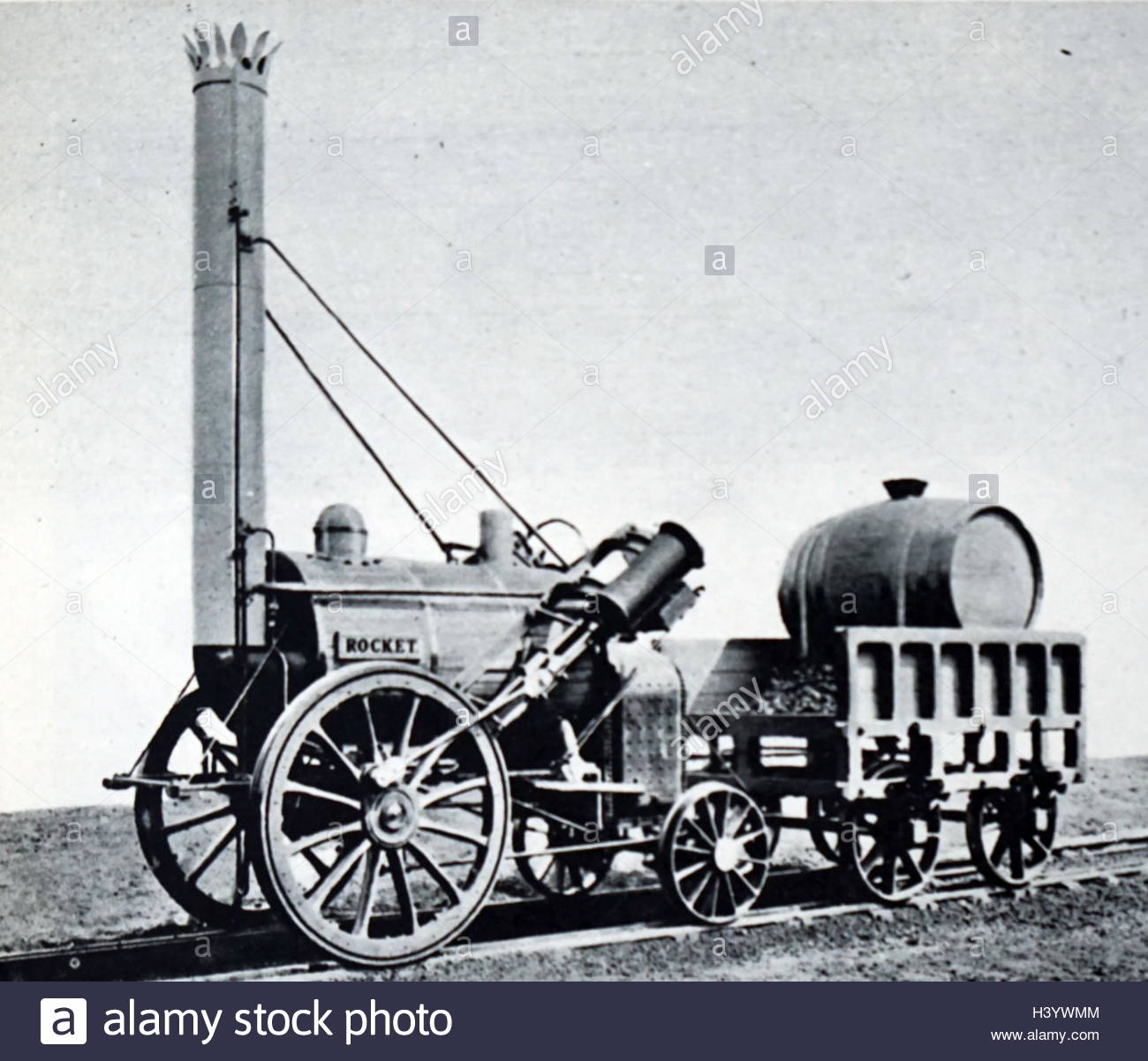 Wit Leeu (Josue Valdez)