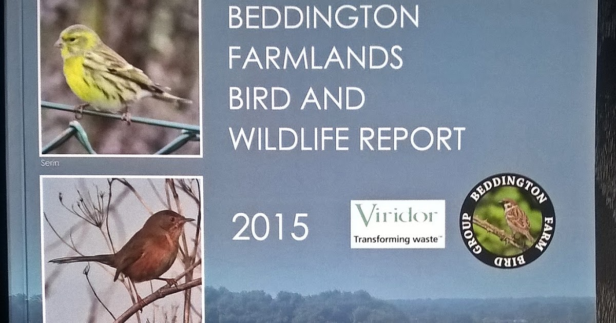 Non-Stop Birding: The Beddington Farmlands Bird and Wildlife Report 2015