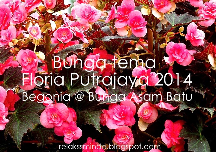 Floria Putrajaya 2014 - Festival Bunga Dan Magic Of The Night - Relaks ...