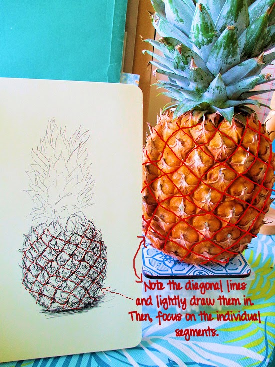 Serena Lewis: How to sketch a pineapple