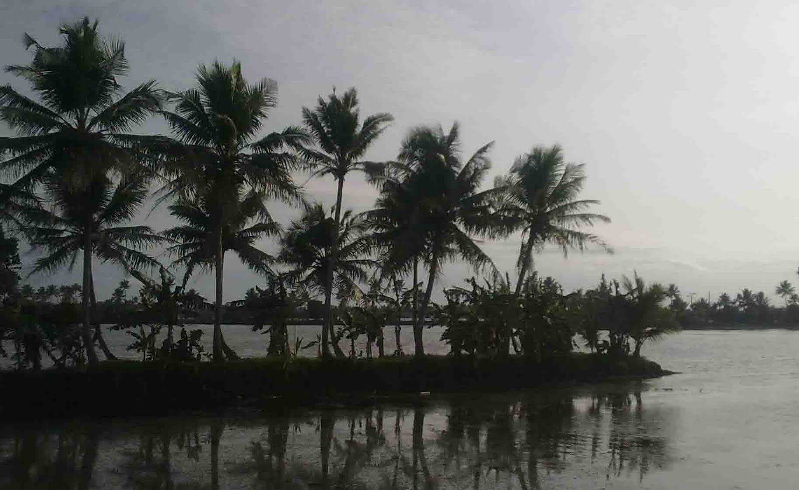 Keralatheeram.com: Kuttanad
