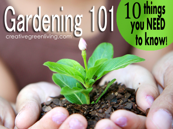 Gardening 101: 10 Things Beginning Gardeners Need to Know | Creative ...
