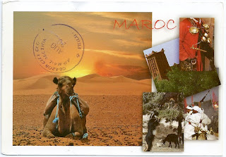 Postcard Voyage: Postcard from Morocco!