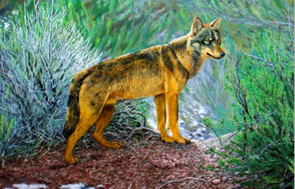 Un paisaje con animales - Imagui