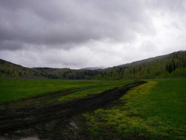 Utah Water Log: Miller Flat Road