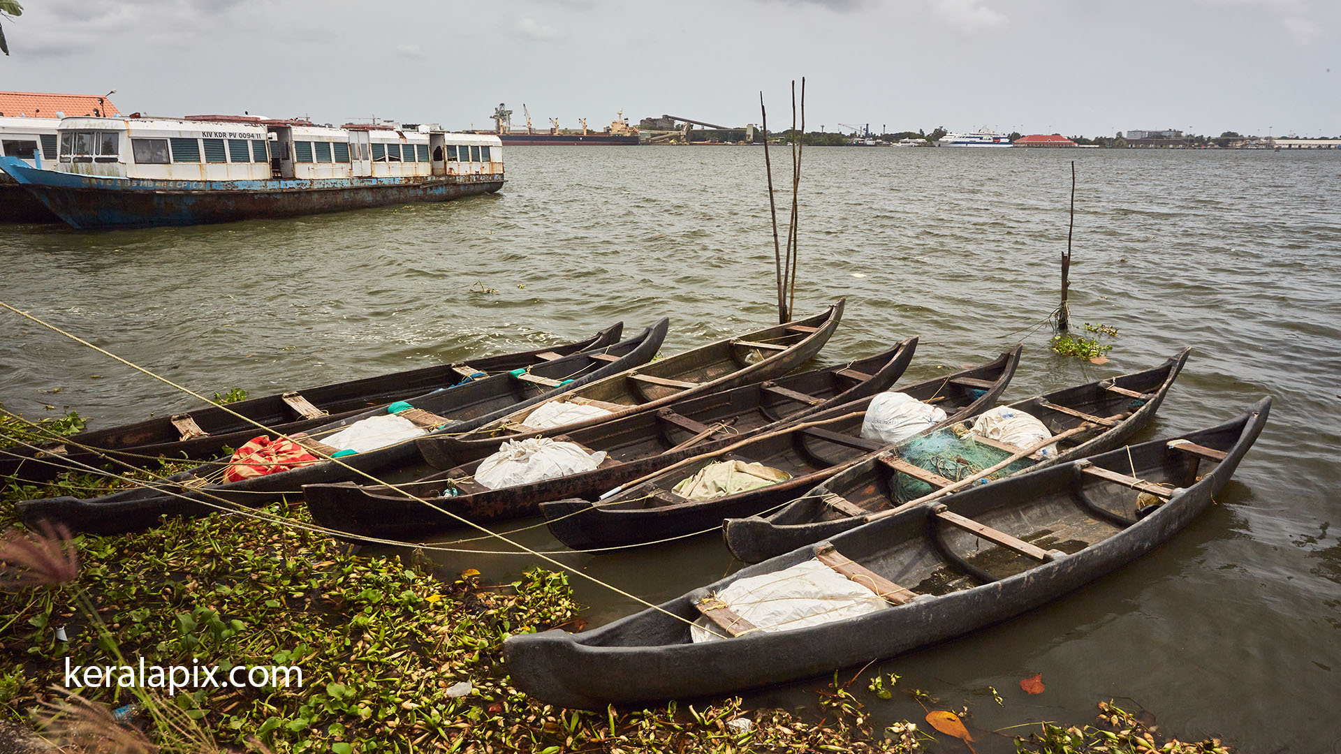 Keralapix.com: Your Ultimate Destination for Stunning Kerala Images and ...