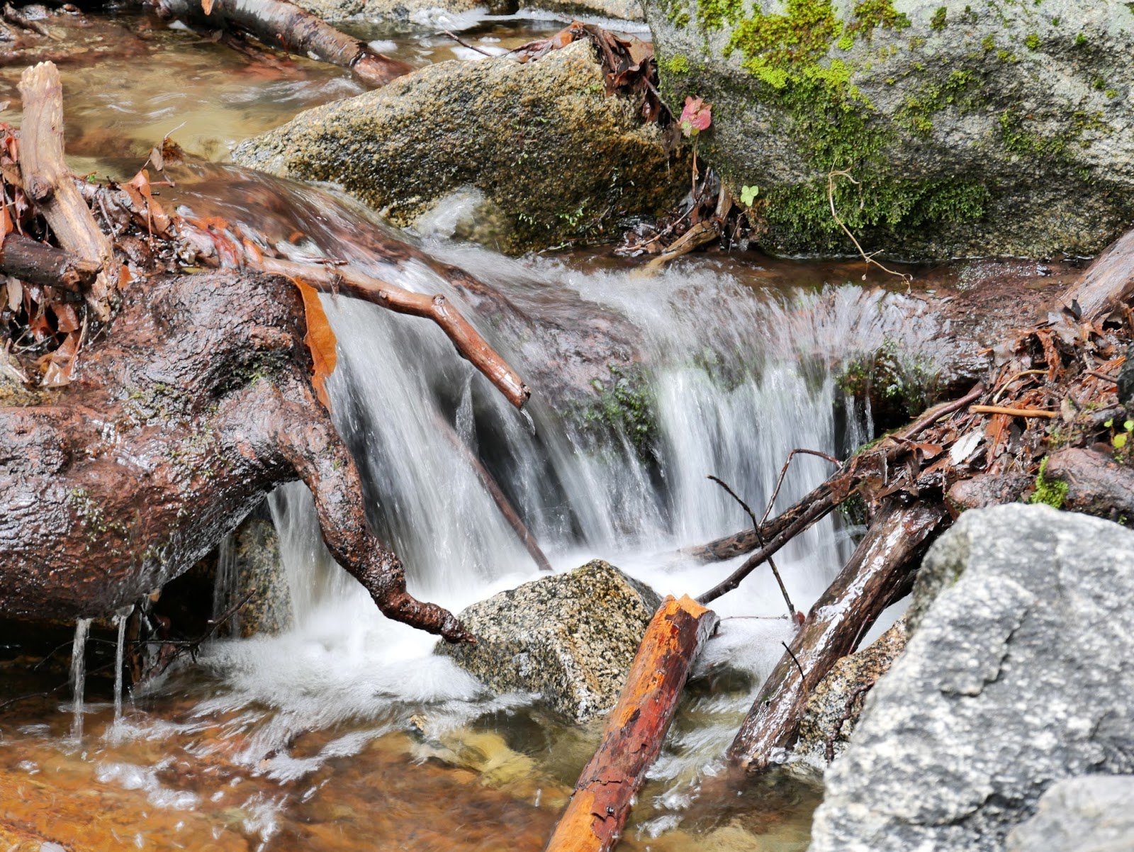 American Travel Journal: Big Fern Springs - Sequoia National Park