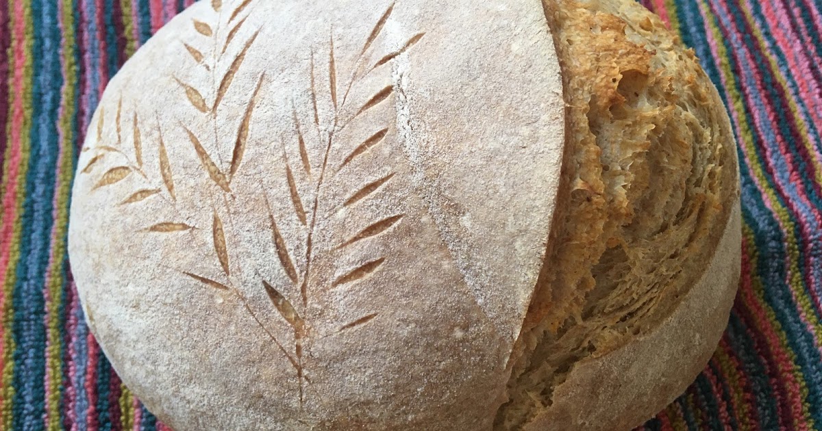 Proving Bread Overnight - Why And How? | Freshly Baked | Bread | Recipes