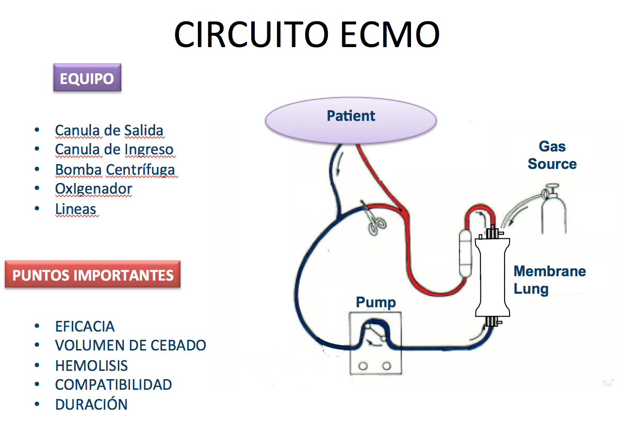 INTENSIVOS PEDIATRICOS: ¿QUÉ ES EL ECMO?