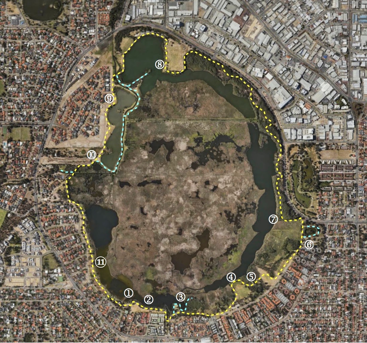 Leeuwin Current Birding: Herdsman Lake: Urban wetland hotspot
