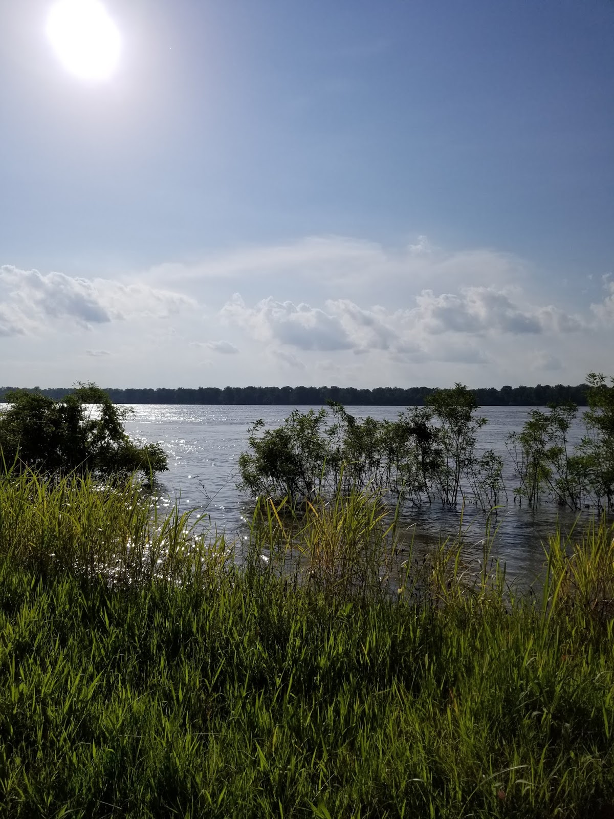 The Most Southern Place: Mighty Mississippi River 7/9/19