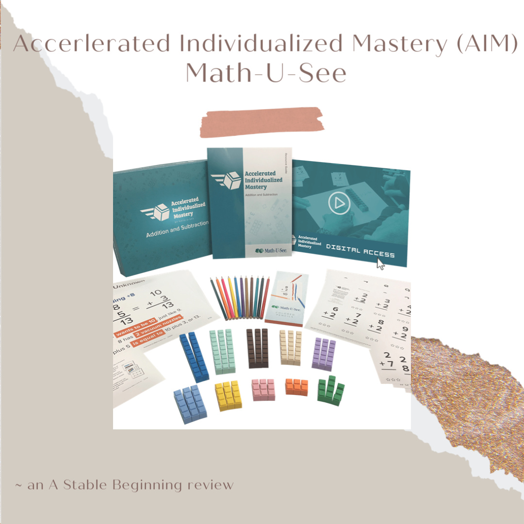 A Stable Beginning: Accelerated Individualized Mastery (AIM) for ...