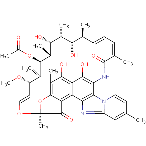 Pharmacology Of Rifaximin