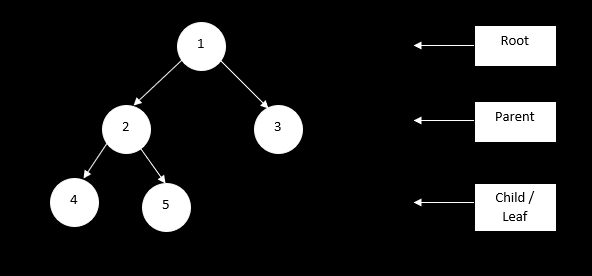 Binary Tree Struktur Data