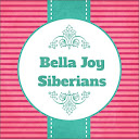 What's happening in the Bella Joy House