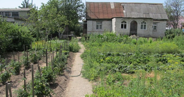 Eastern Exploits: Dacha!