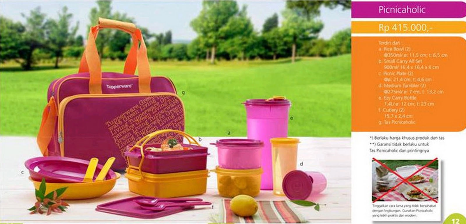 Tupperware Promo Picnicaholic | Katalog Tupperware PROMO