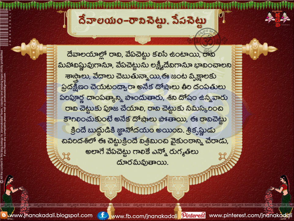 Mythology of the Pipal tree and its importance in Telugu Reasons why ...