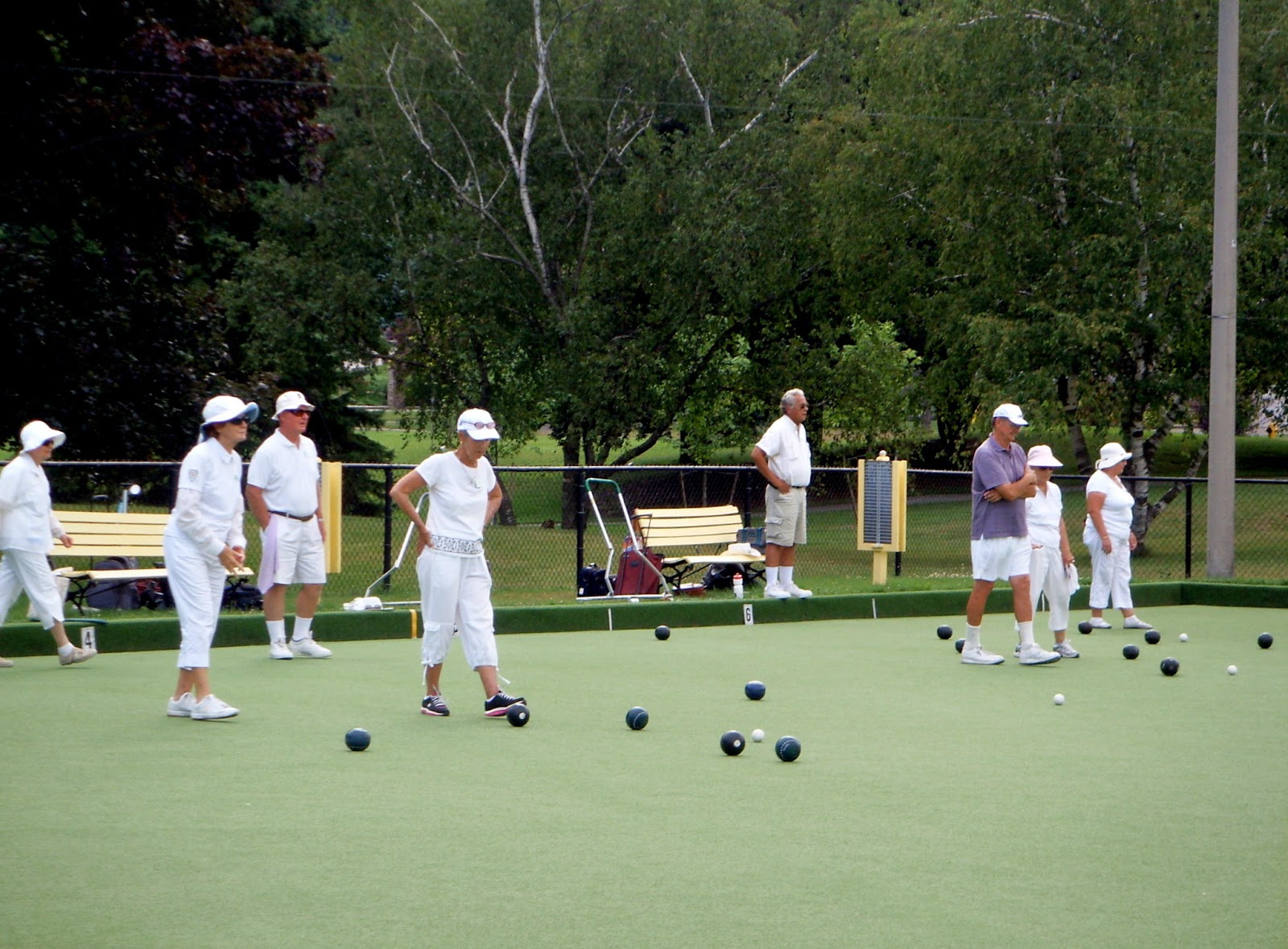 The Greenbowler: The Experiences and Insights of a Lawn Bowler: Good ...