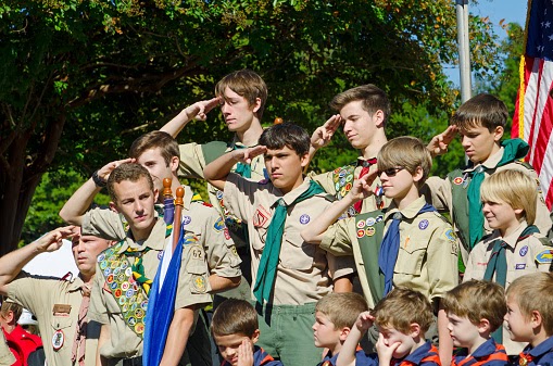 James Maxwell on Blogger: The Eagle Scout Designation and the First ...