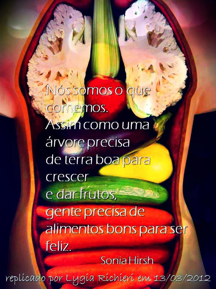 P A T C H W O R K *d a s* I D E I A S: Nós somos o que comemos