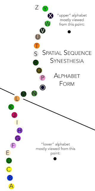 The Synesthesia Tree: Alphabet form synesthesia