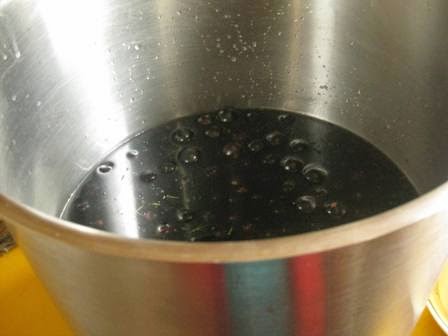 Going Grey and Slightly Green: Jaboticaba Jelly
