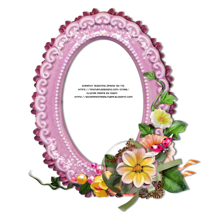 Escape From Reality Blog: FTU 'Bursting Spring' Cluster Frames TTD