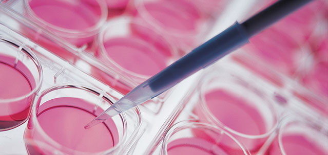 Six Dream Weavers: Day 11: 26 Dayf of March of Dimes