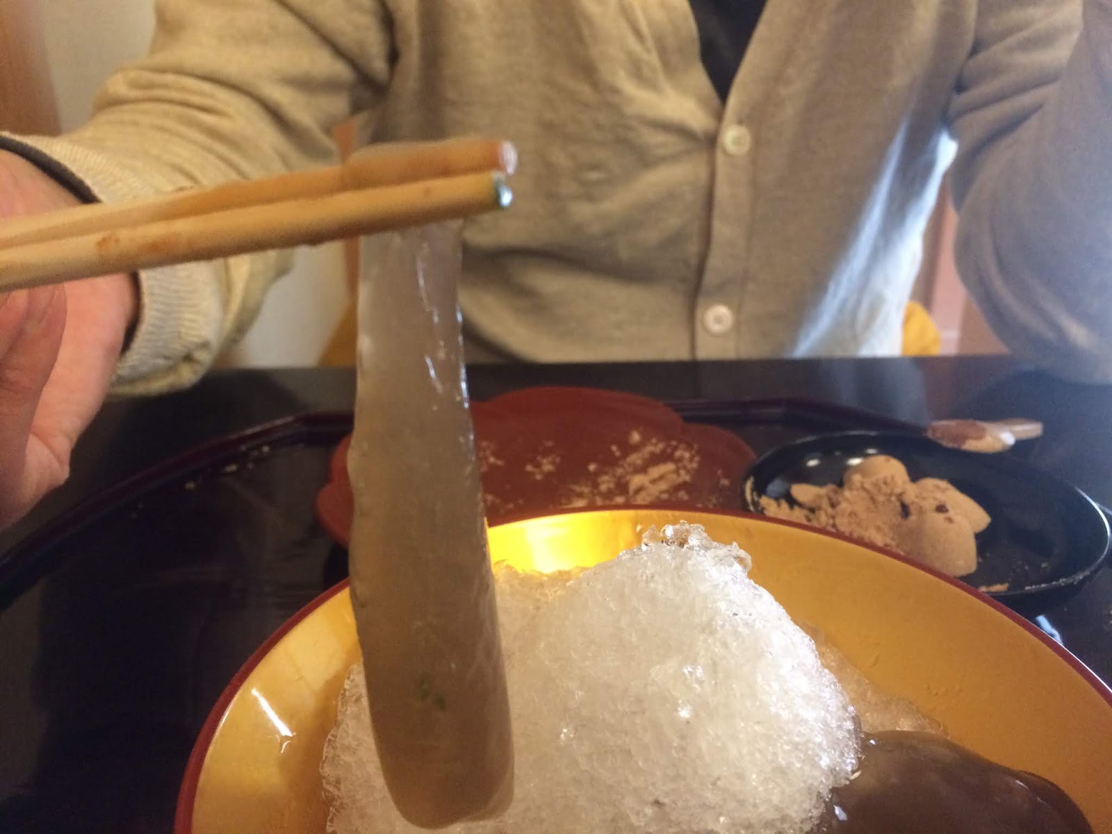 Our Adventures in Japan: tokuya & kenninji