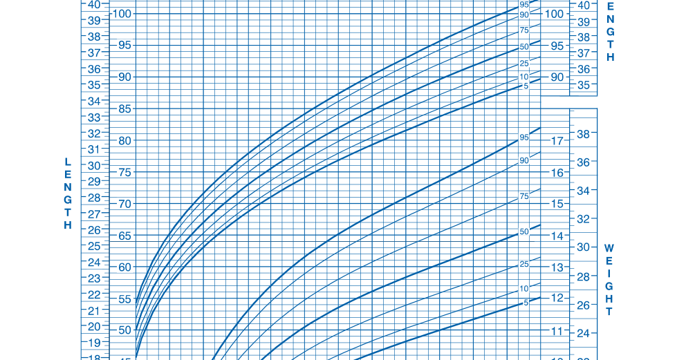 Excel with Allison: Calculating Percentile