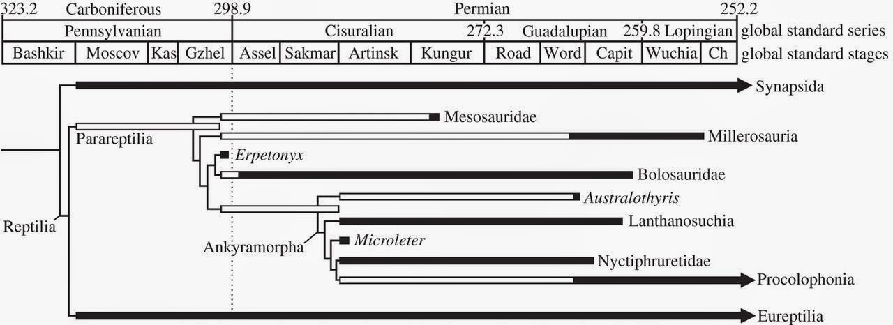 The Dragon's Tales: Erpetonyx arsenaultorum: a new and Oldest Known ...