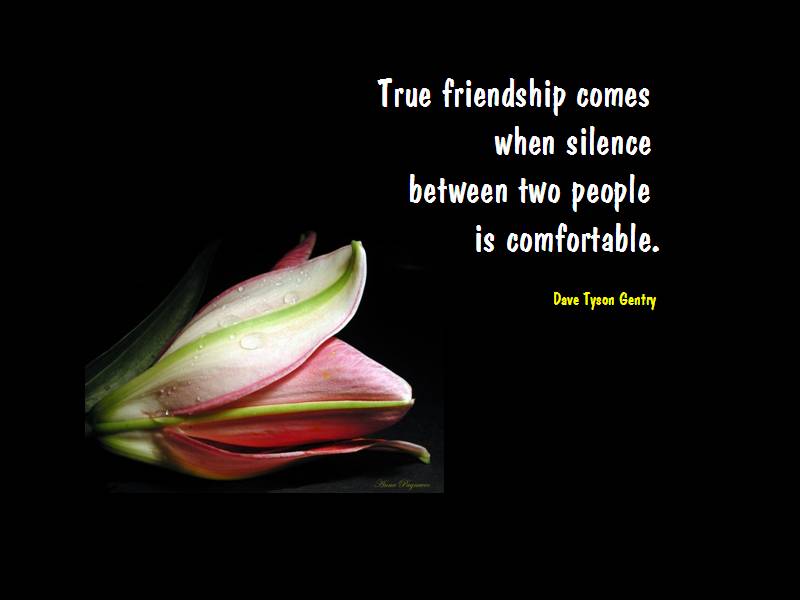 Friendship Greetings Friendship Greeting Card Messages