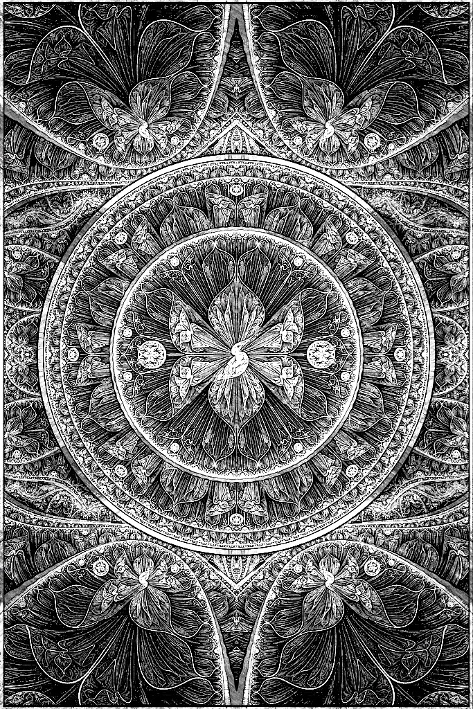 Mandala Design Art - Fox Press™