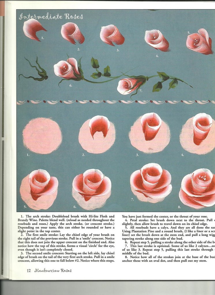 Rosas pintadas - Ver e Fazer