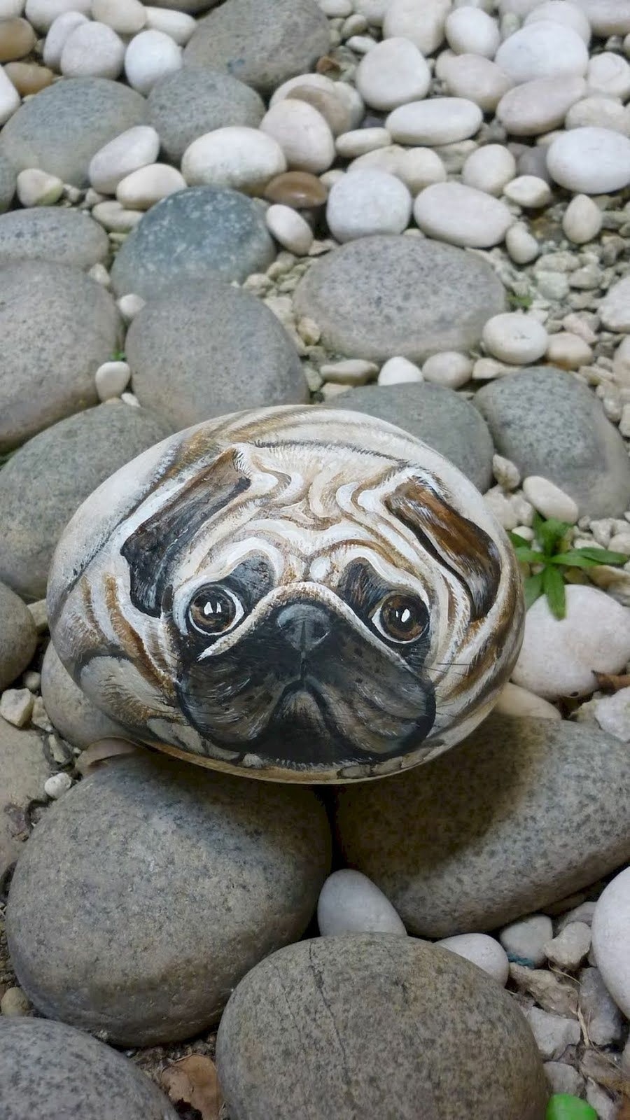 40+ Cute Diy Painted Rocks Ideas With Animals Dogs For Summer | ARA HOME