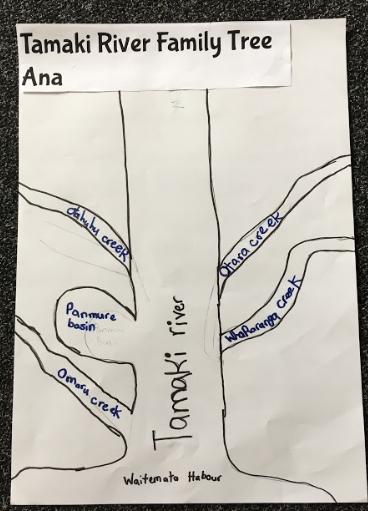 Ana @ Glen Innes School: Tamaki River Family Tree