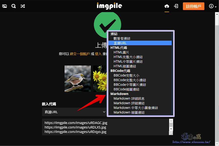 ImgPile 免費圖片儲存&共享服務，單檔 100MB 無限容量不砍檔可直連