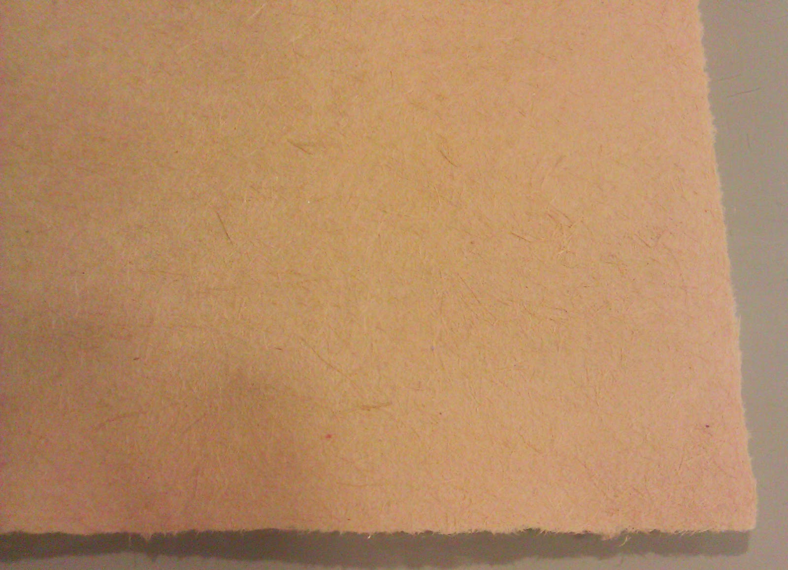 Rocinante Press: Moringa Paper