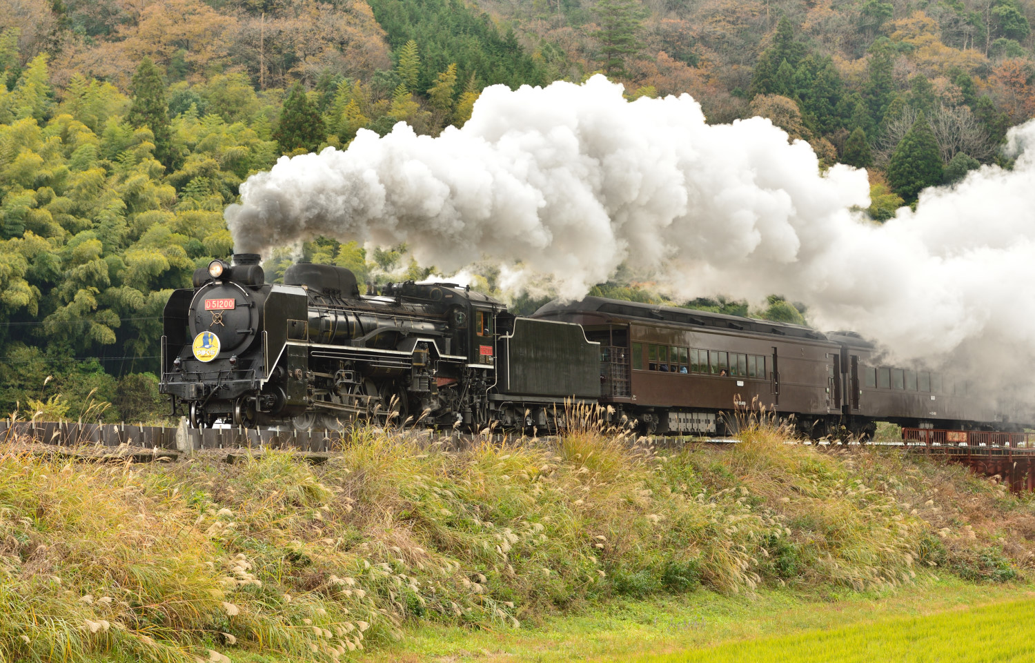 山口市阿東@ほ～むあとうブログ: D51の復活運転
