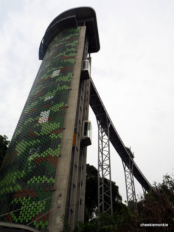 Cheekiemonkies: Singapore Parenting & Lifestyle Blog: This Skywalk ...