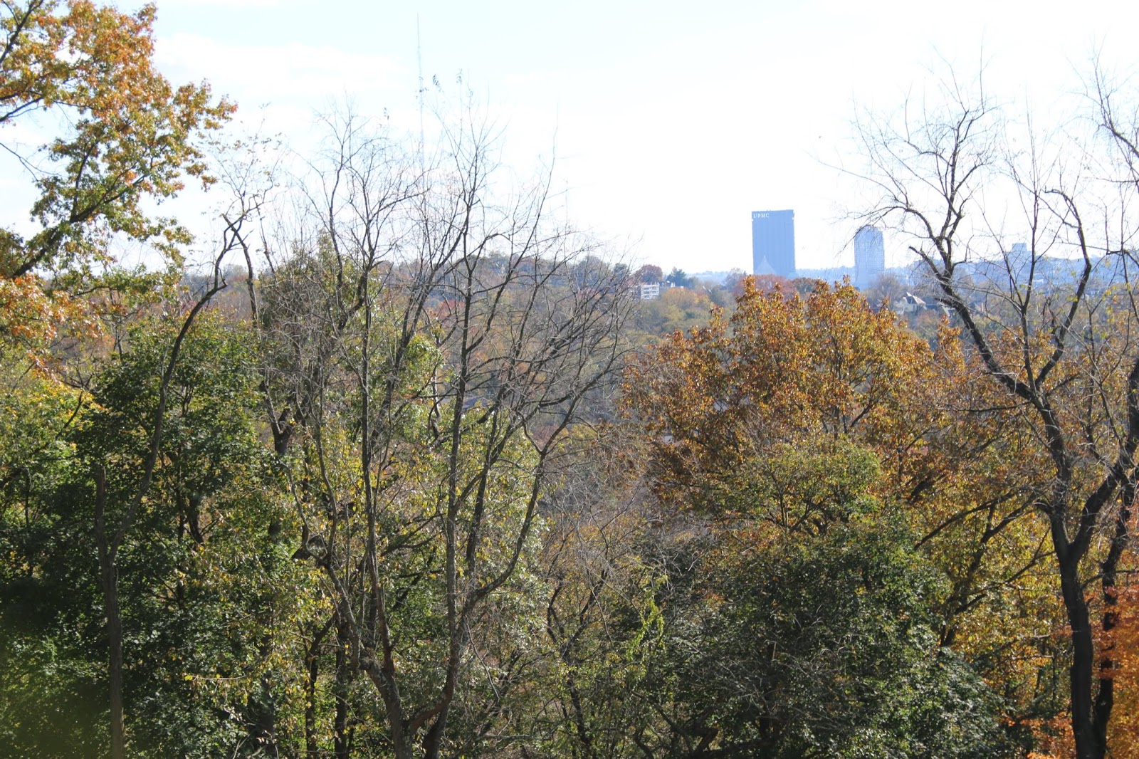 Pittsburgh's City Parks: Wonderful Urban Nature Sanctuaries ...