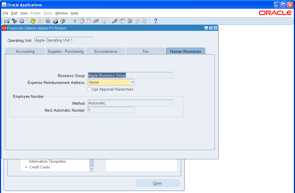Oracle E-Business Suite R12 Financials: Defining Multi Organization
