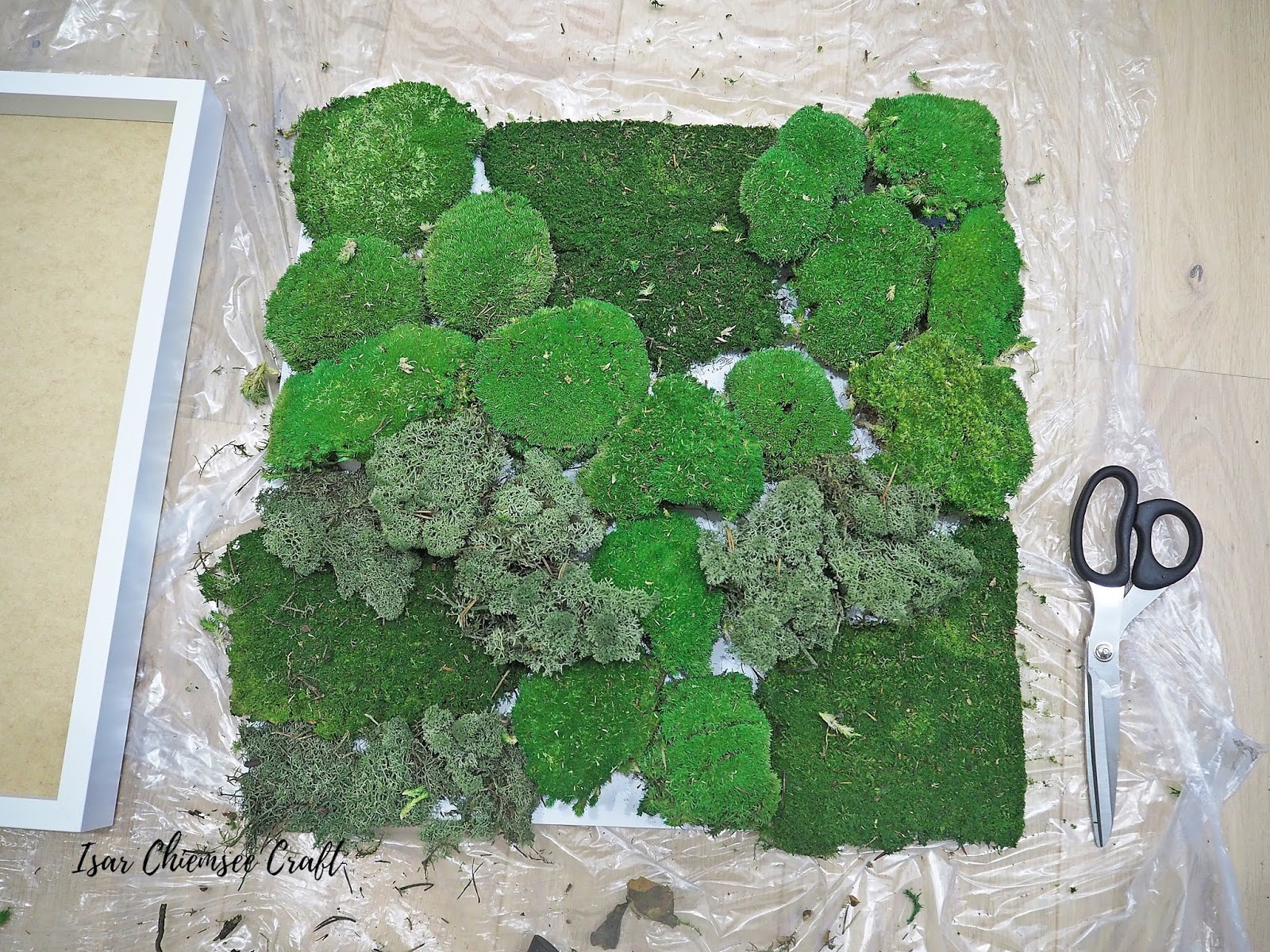 Moosbild selber machen