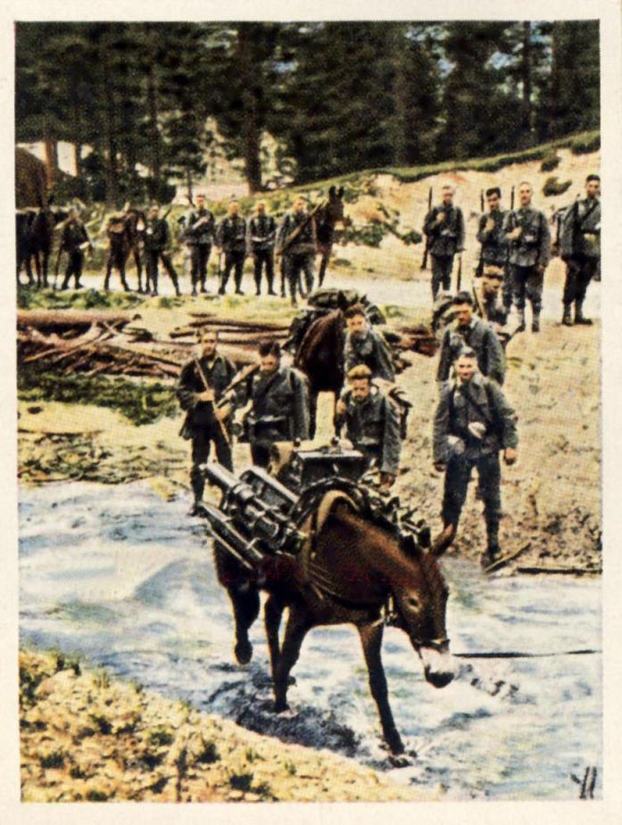Third Reich Color Pictures: Animals of the Third Reich in Color