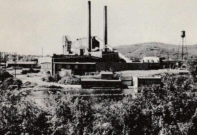 Progress is fine, but it's gone on for too long.: Pulp and paper, 1950s