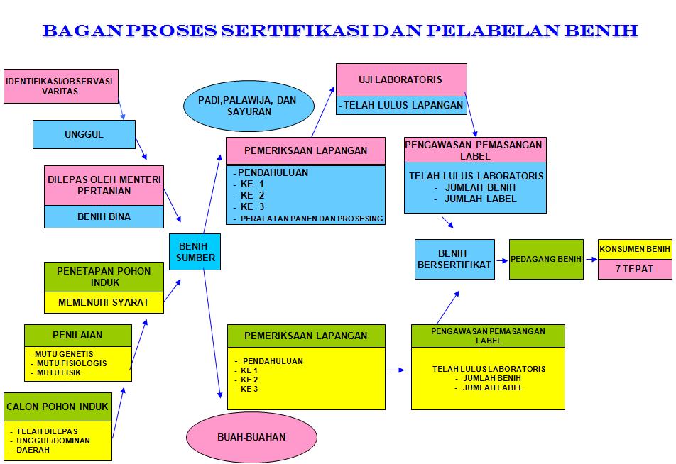 Sertifikat Benih | Ayo Tani
